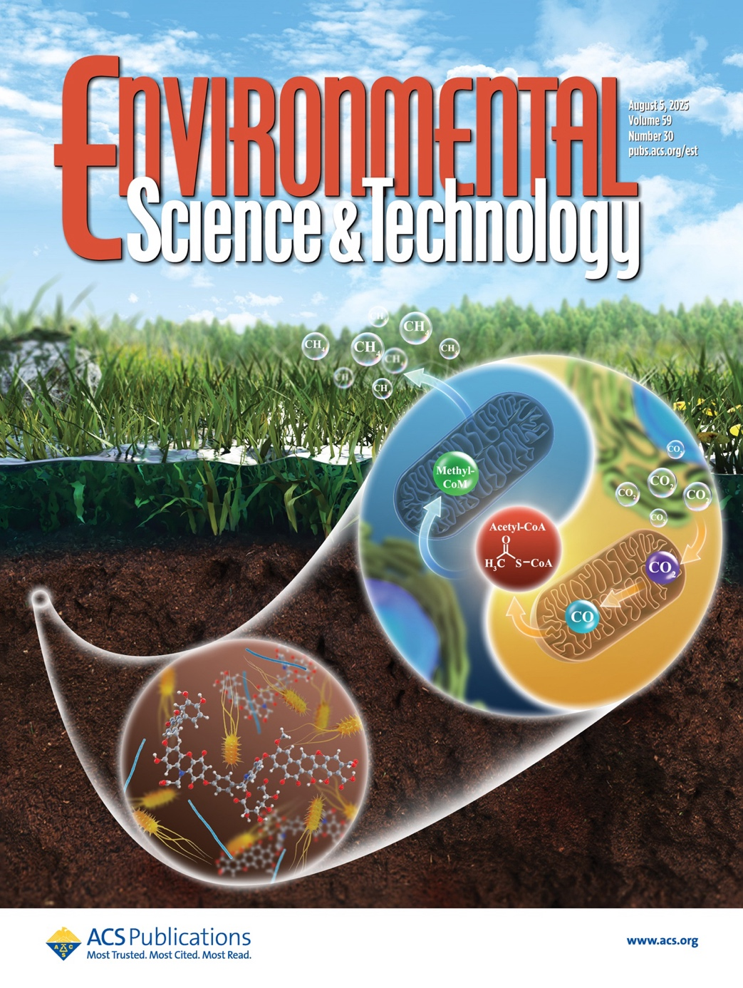 我校教育部国际合作联合实验室团队在Environmental Science & Technology上发表封面文章-东北农业大学